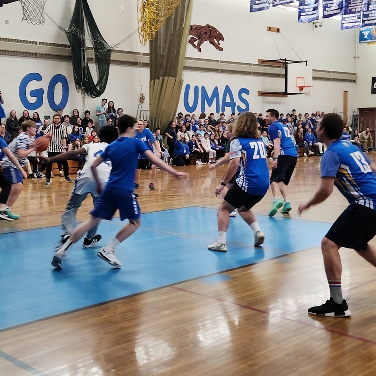 Home - South Meadow School