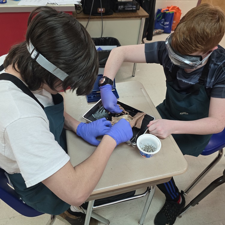 Home - South Meadow School