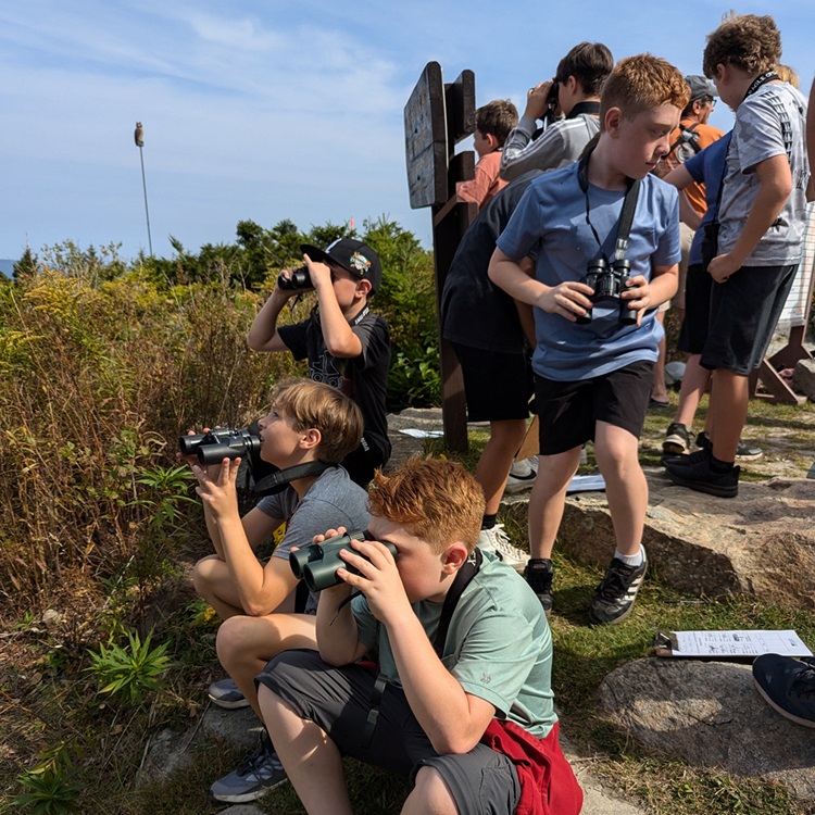 Home - South Meadow School