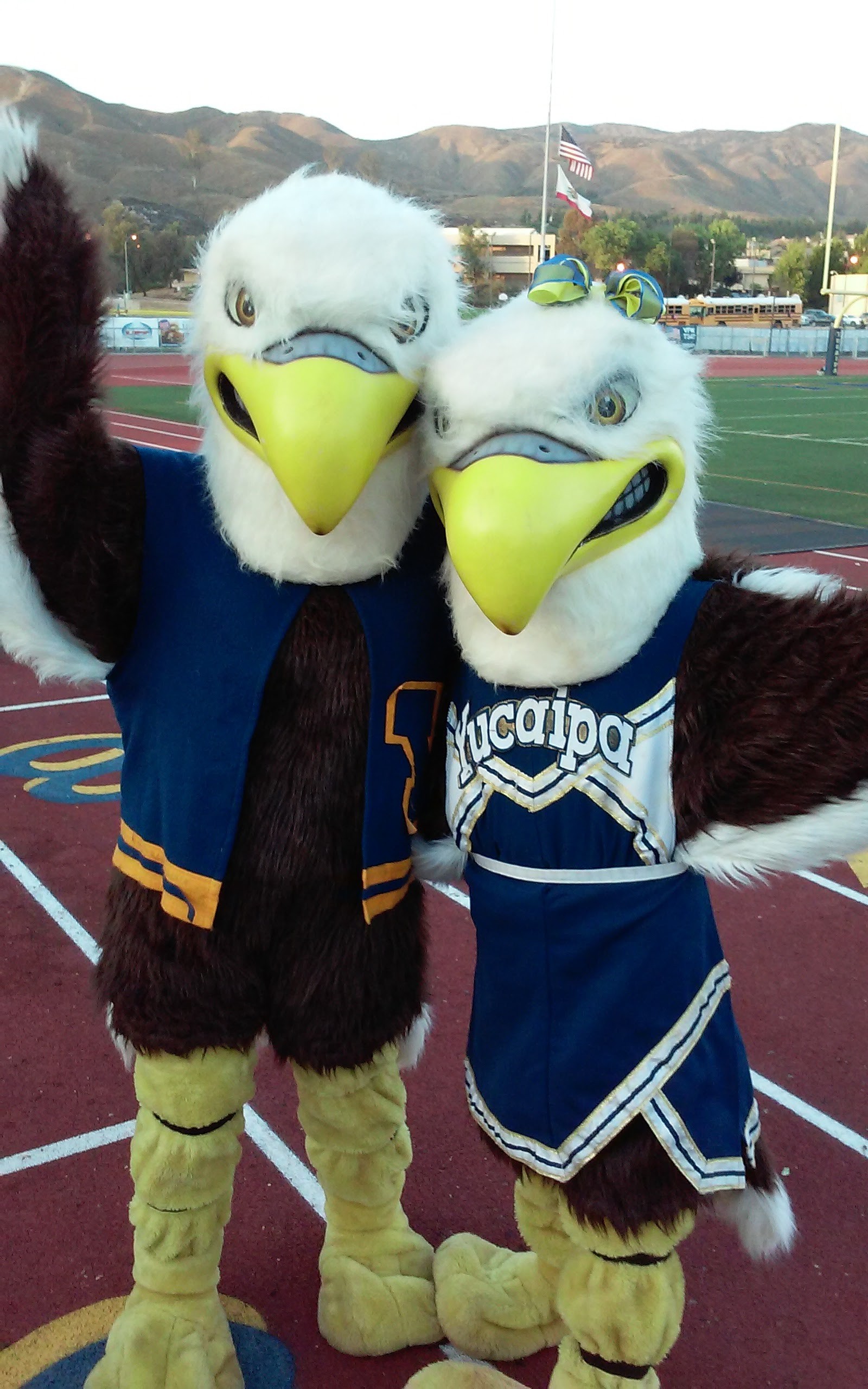 Home - Yucaipa High School