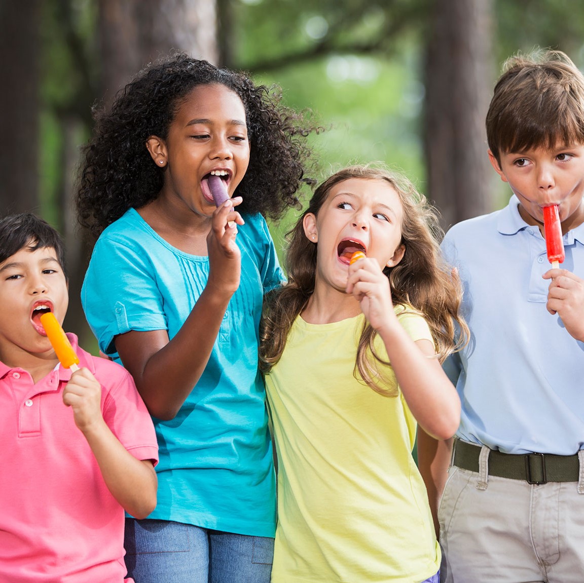 Home - Range View Elementary