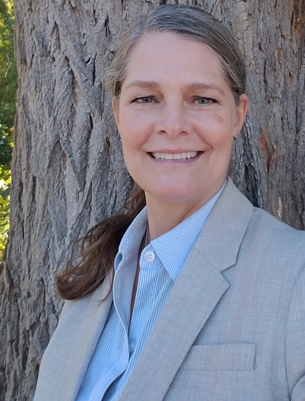 About Us - Main Street School