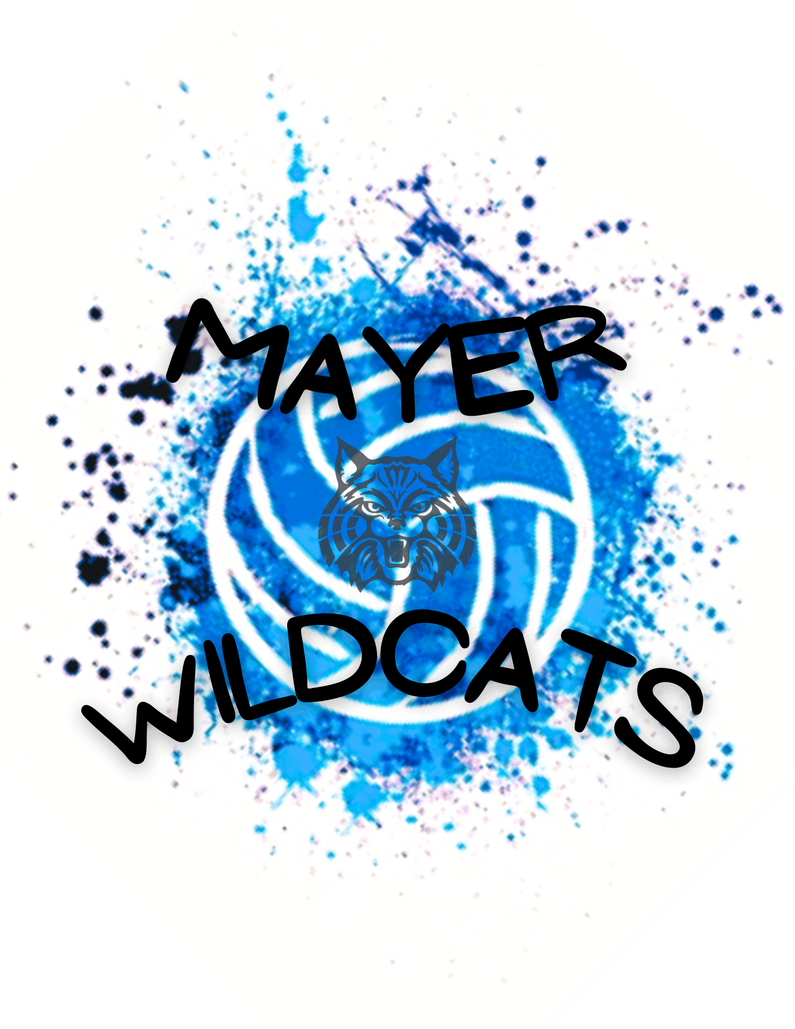 Volleyball - Mayer High School