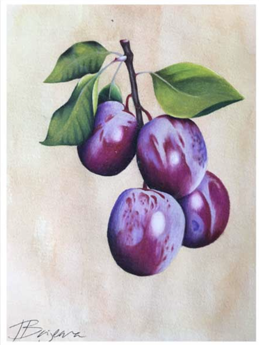 Home - MV Independent Learning Center